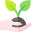 Home [mahmoudswailam.github.io]